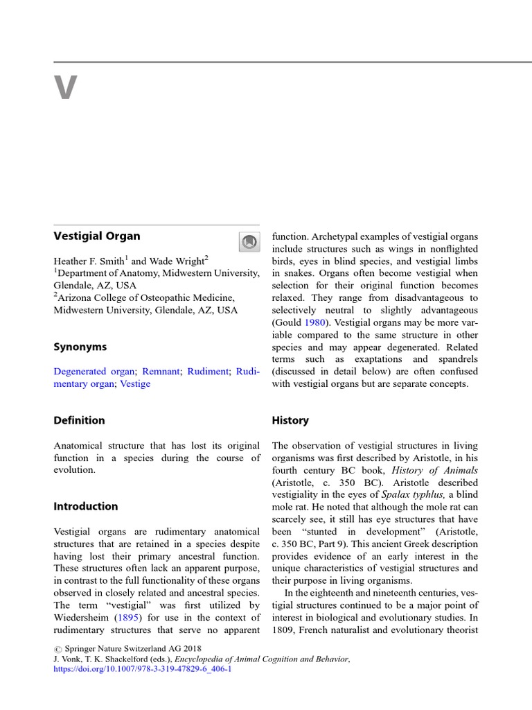 Vestigial Organ | PDF