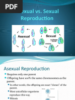 Sexual vs. Asexual Reproduction Worksheet | PDF | Sexual Reproduction ...