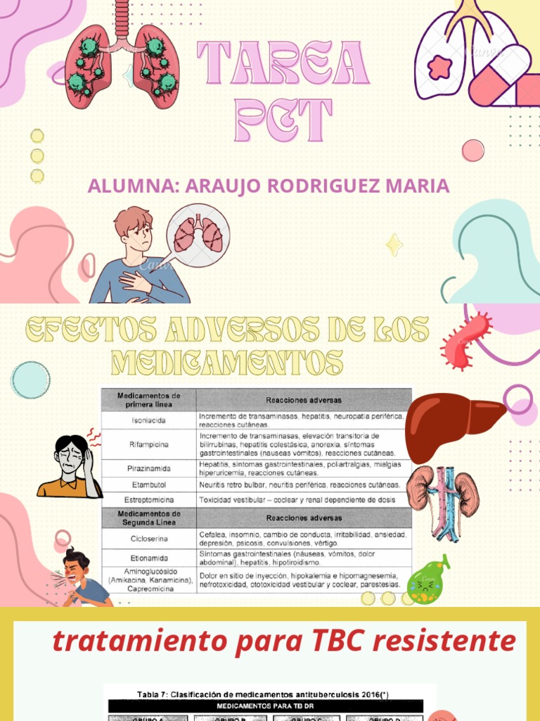 Colorful Playful Creative Portfolio Presentation | PDF
