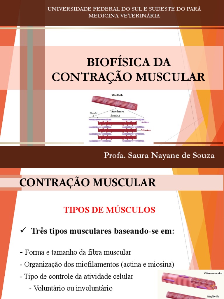 Biologia da Contração Muscular | PDF | Músculo esquelético | Anatomia