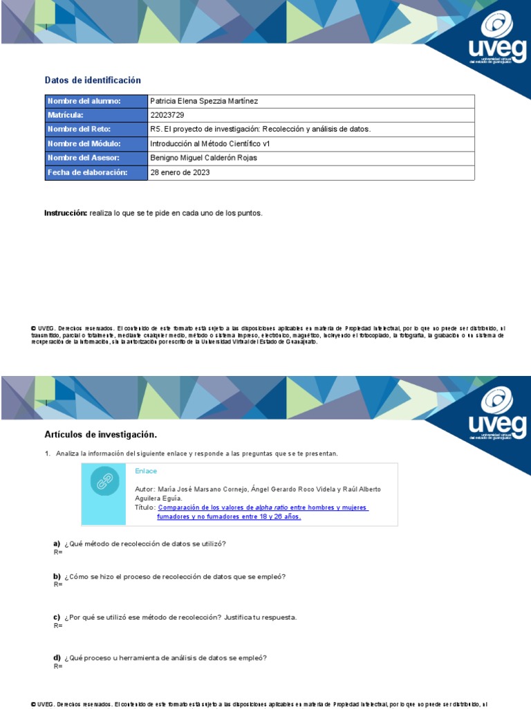 Reto5 Formato | PDF | Propiedad intelectual | Importar