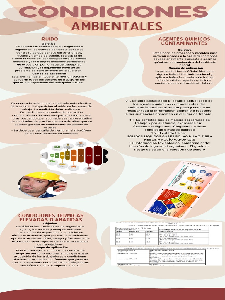 Infografía Condiciones Ambientales | PDF | Contaminación | Encendiendo