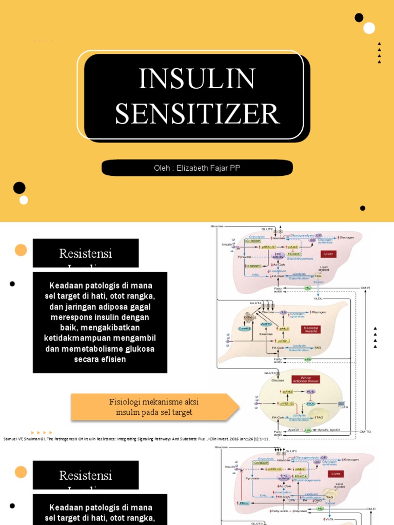 Mekanisme Insulin Sensitizer pada Diabetes | PDF
