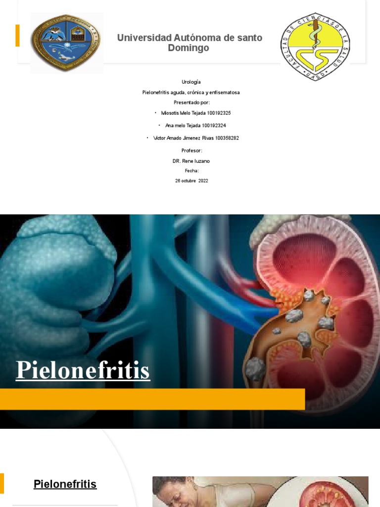 Pielonefritis: Tipos, Síntomas y Tratamiento | PDF | Epidemiología ...
