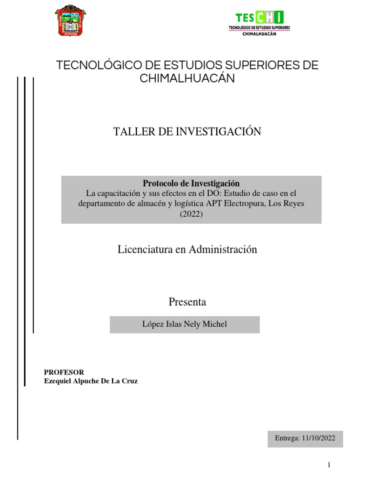 Avance 1 López Islas Nely Michel | PDF | Comunicación | Aprendizaje
