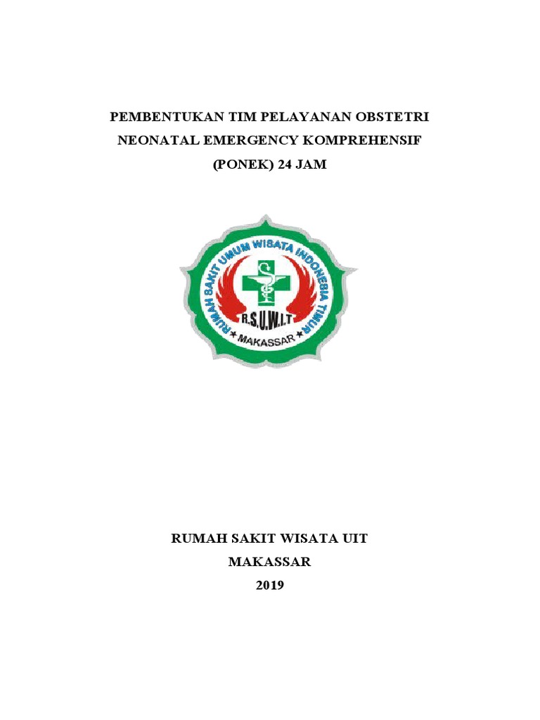 SK Pembentukan Tim Pelayanan Obstetri Neonatal Emergency Komprehensif | PDF