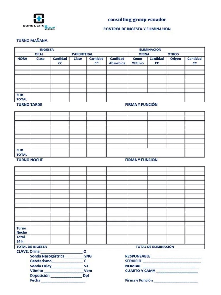 Hoja de Ingesta y Eliminacion | PDF