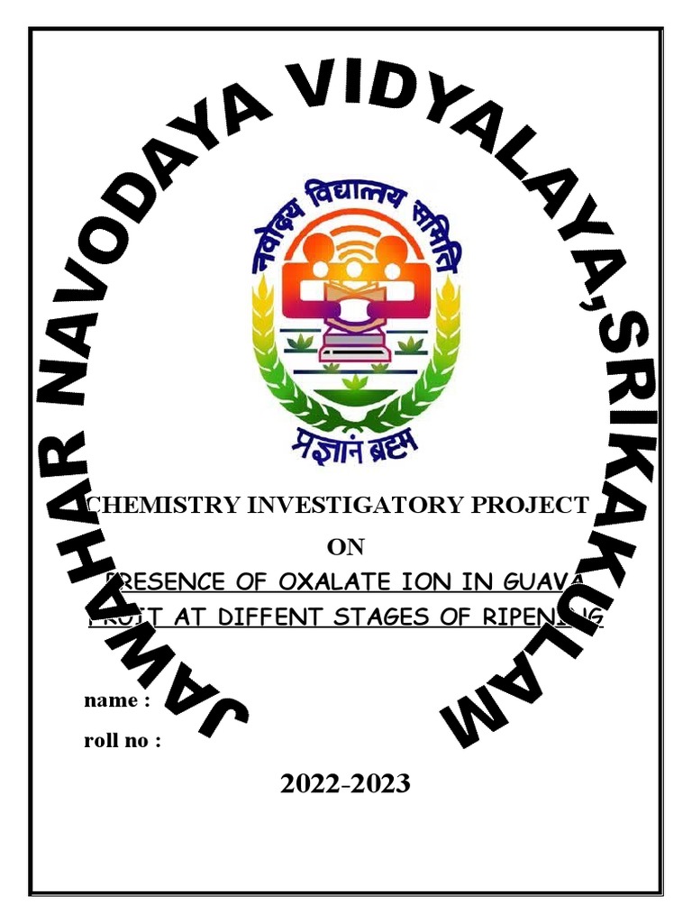 Chemistry Investigatory Project Class 12 | PDF | Titration | Chemistry