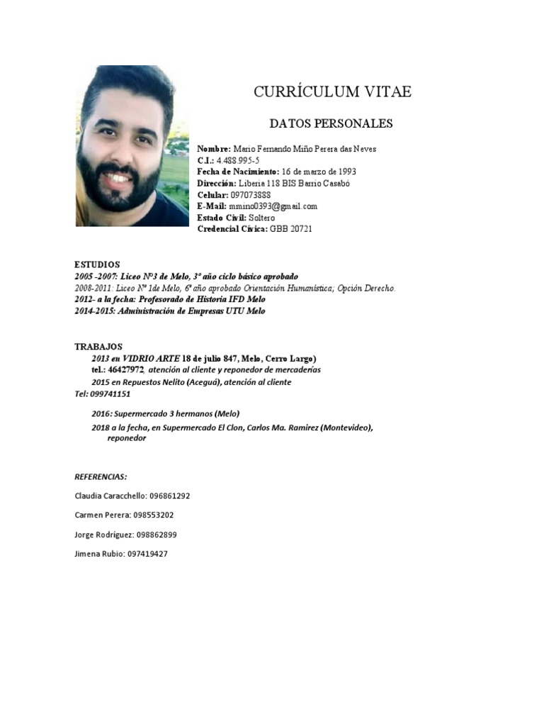 Currículum Vitae 2019-1 | PDF