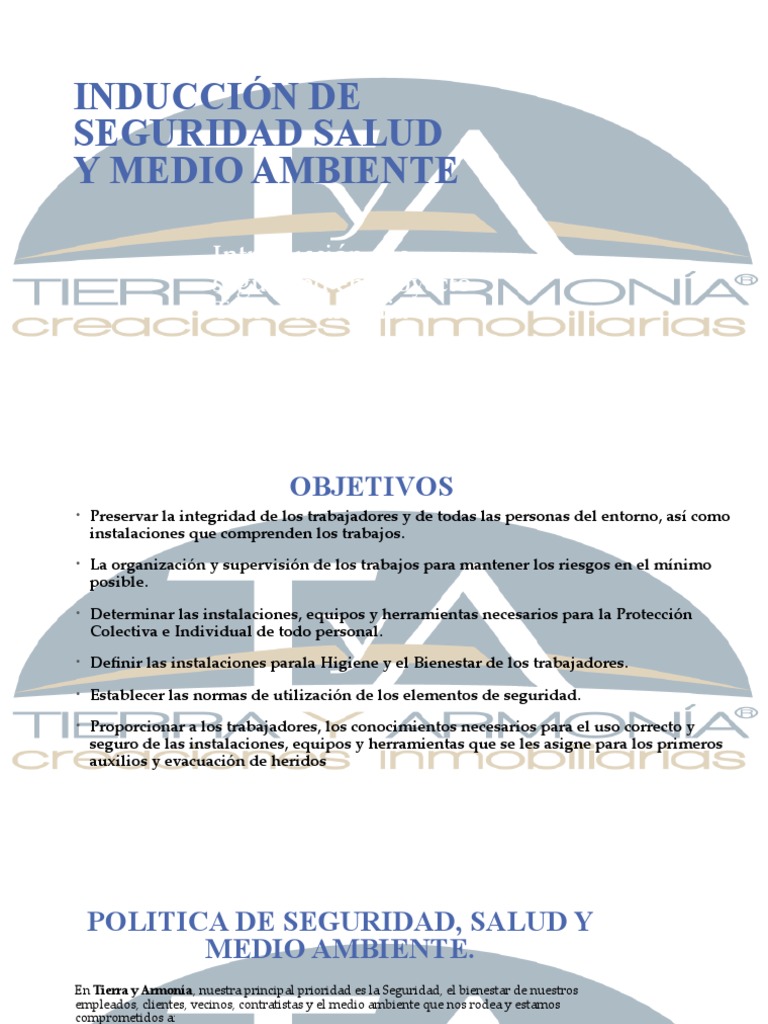 Inducción de Seguridad Salud y Medio Ambiente | PDF | Valores