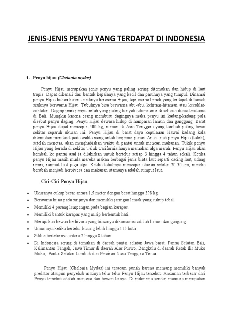 JENIS Jenis Penyu Di Indonesia | PDF