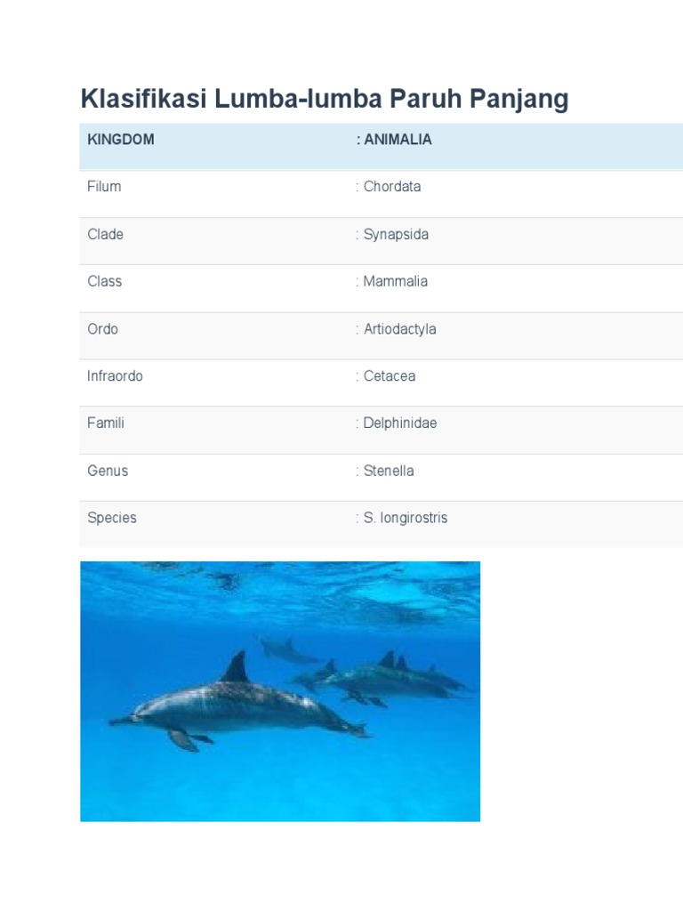 Klasifikasi Lumba | PDF