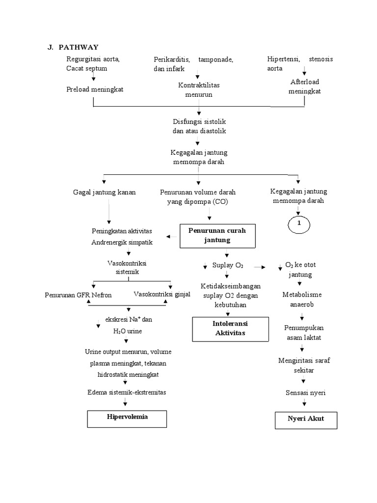 Pathway Gagal Jantung Akut dan Komplikasi | PDF