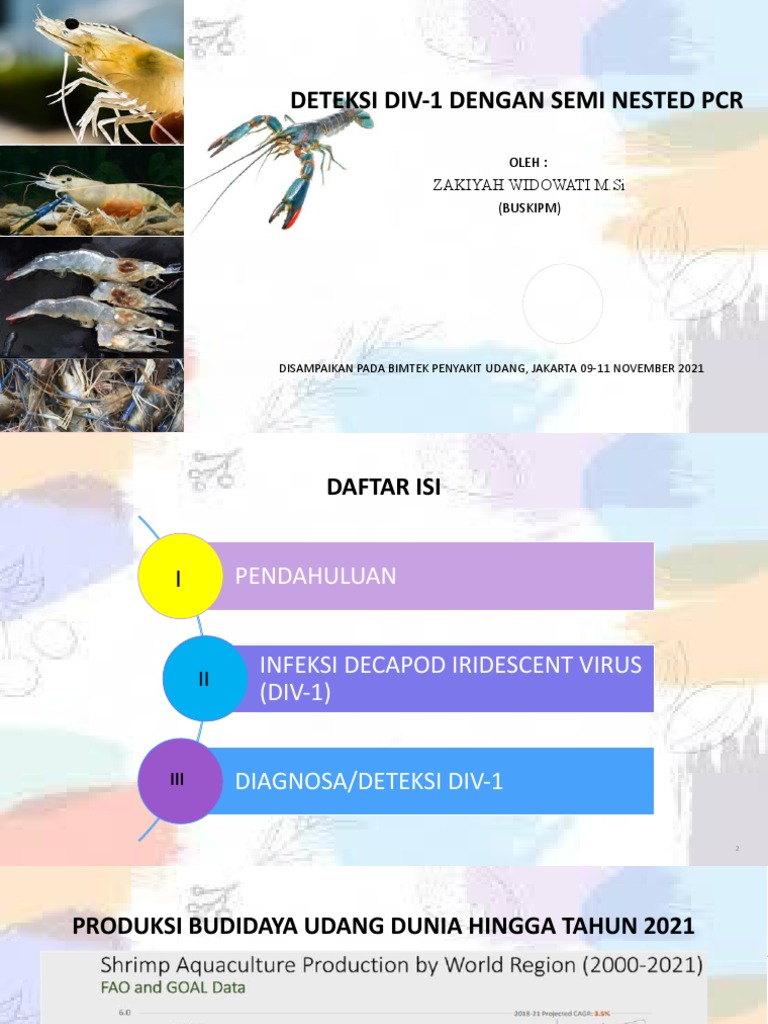 Deteksi DIV-1 dengan Semi Nested PCR | PDF