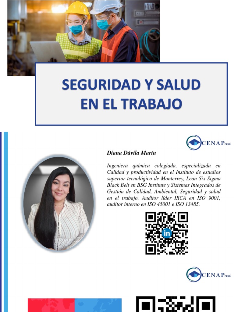 Conformación y Funciones del CSST | PDF | Regulación | Gobierno