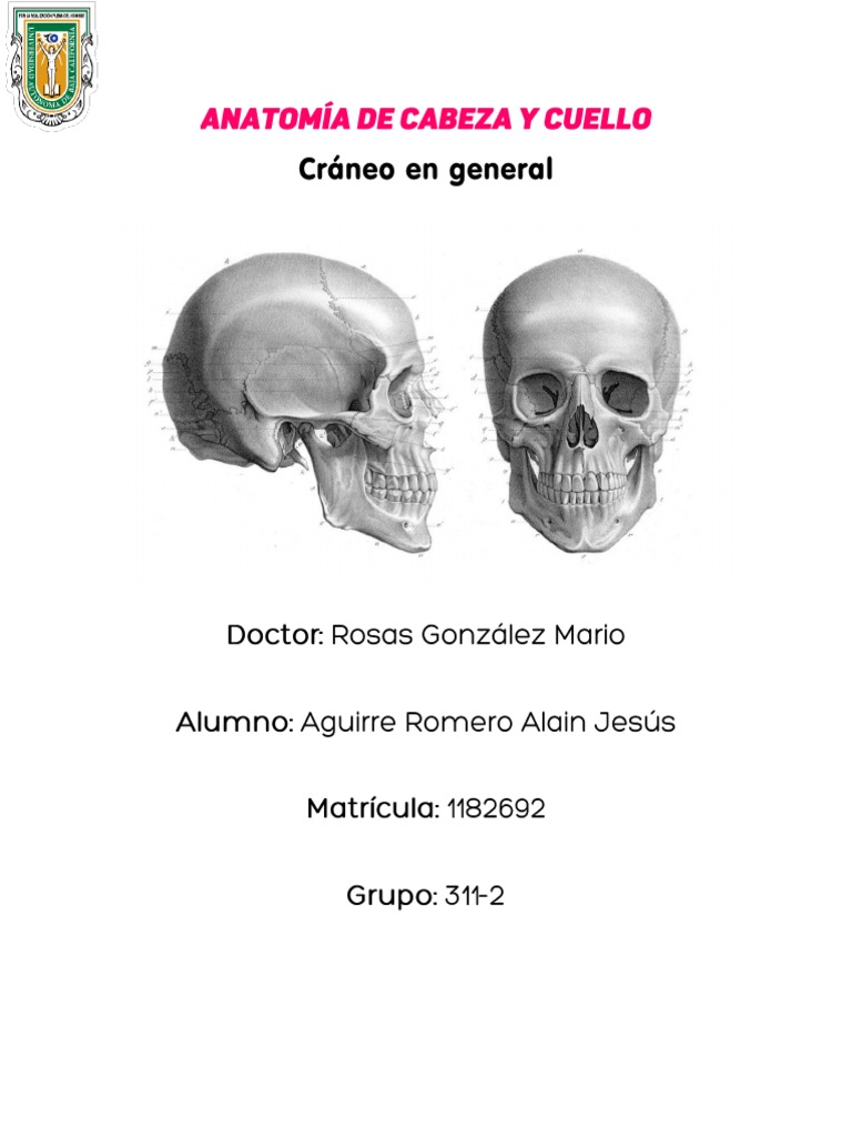 Cráneo en General | PDF | Sistema esquelético | Sistema musculoesquelético