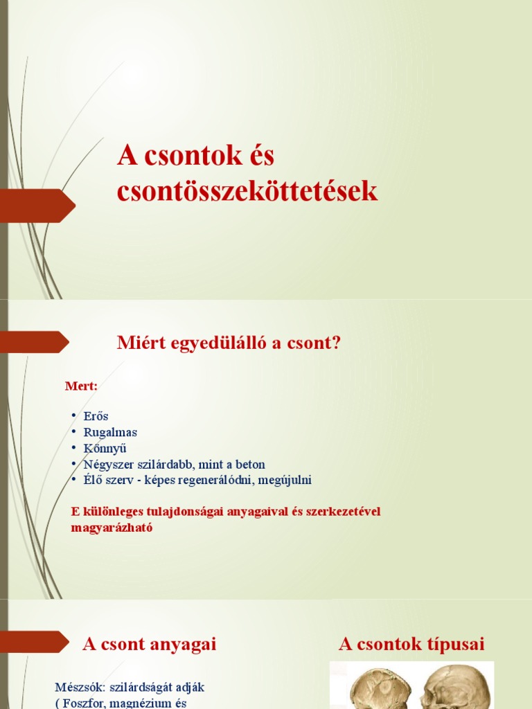A Csontok És Csontösszeköttetések | PDF