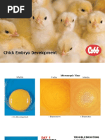 (PDF) Layers Feeding Guide, Growth & Weight Chart - Livestocking | PDF ...