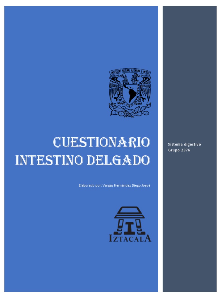 Cuestionario Intestigo Delgado | PDF | Intestino delgado | Tracto ...