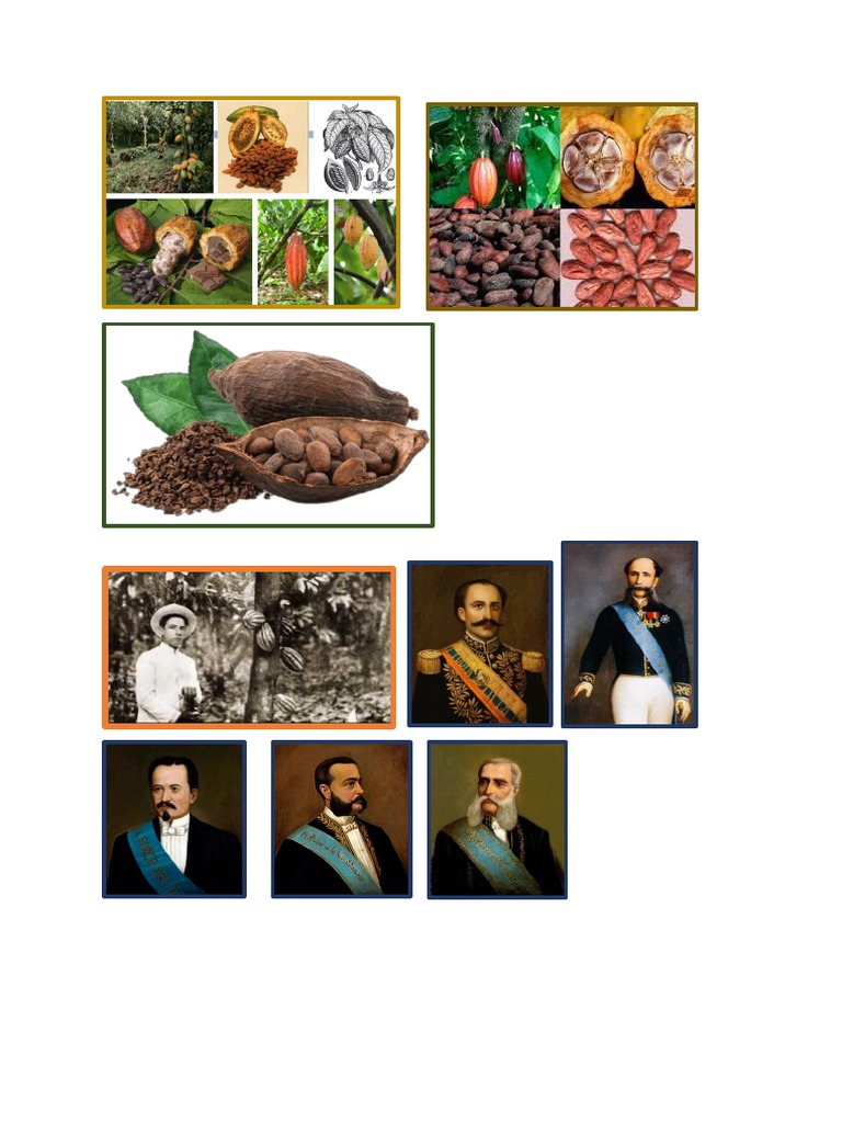 El Auge Cacaotero Pdf