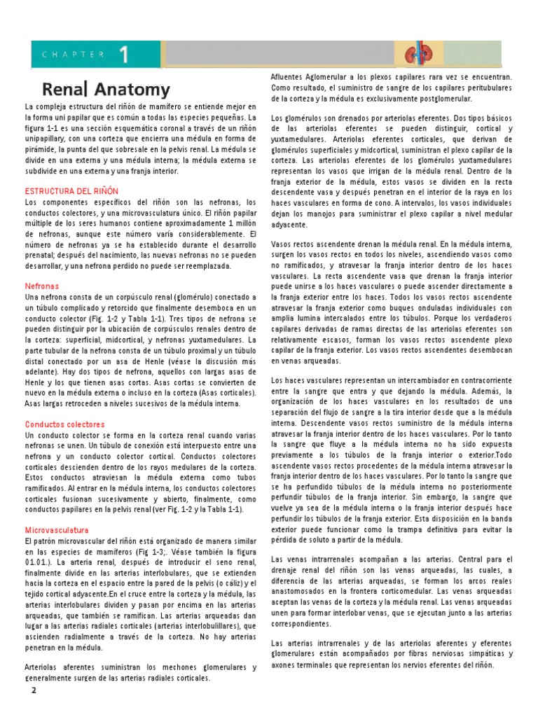 Dokumen - Tips - Cap 01 Anatomia Renal Comprehensive Clinical Nephrology | PDF | Riñón | Órgano ...