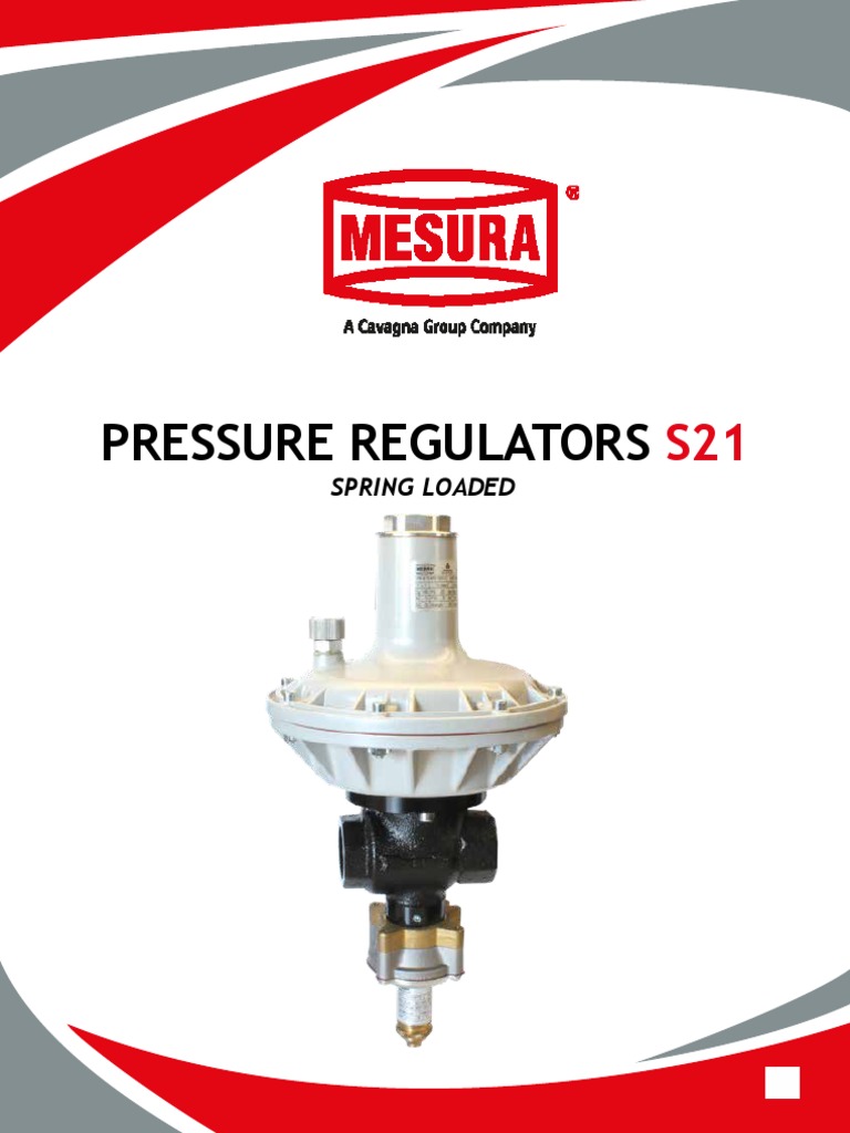 Leaflet S21 2020 - Cavagna Pressure Regulator | PDF | Valve | Energy ...