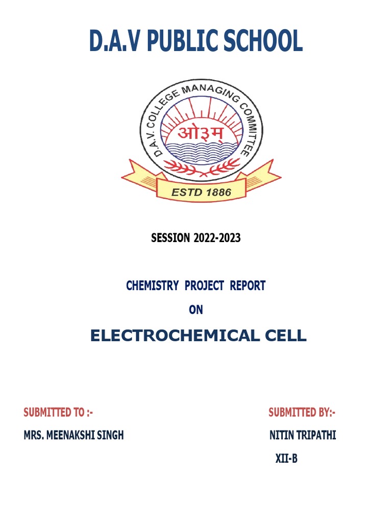 Chemistry Project On Electrochemical Cell 1 | PDF | Redox | Electrode