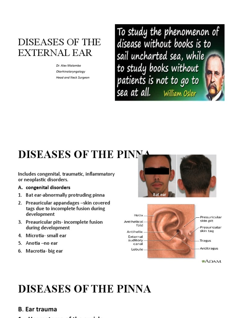 Diseases of The External Ear | PDF | Ear | Diseases And Disorders
