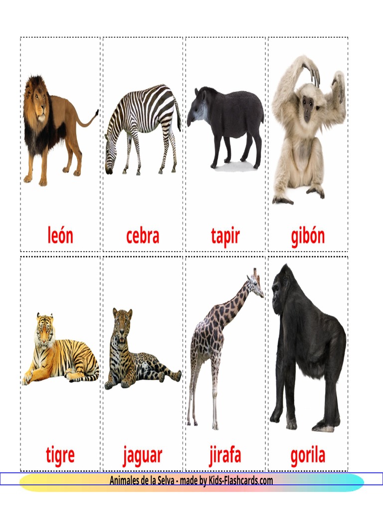 Jungle Animals Flashcards for Kids | PDF