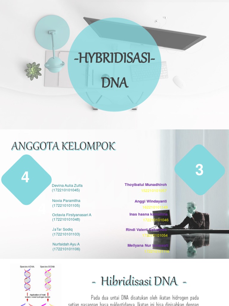 Hibridisasi - Dna 11 | PDF