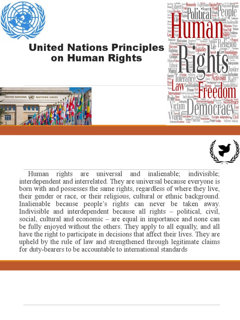 United Nations Principles On Human Rights | PDF | Human Rights ...