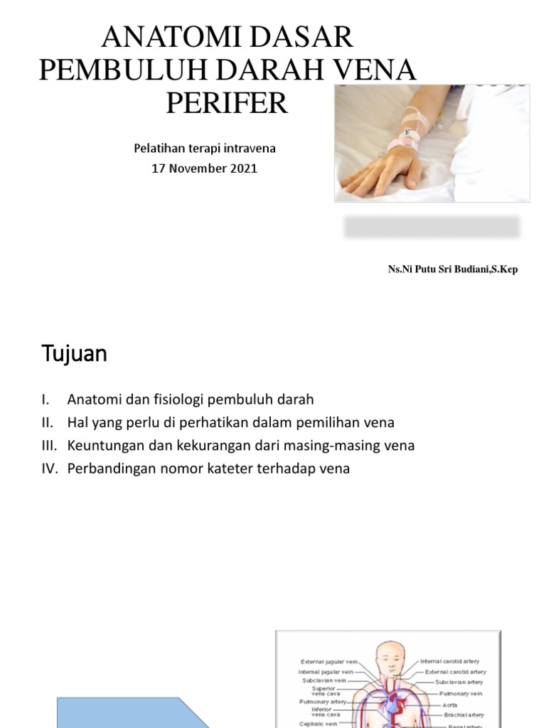Anatomi Dasar Pembuluh Darah Vena Perifer | PDF