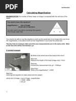 Magnification Questions | PDF | Cell (Biology) | Cell Biology