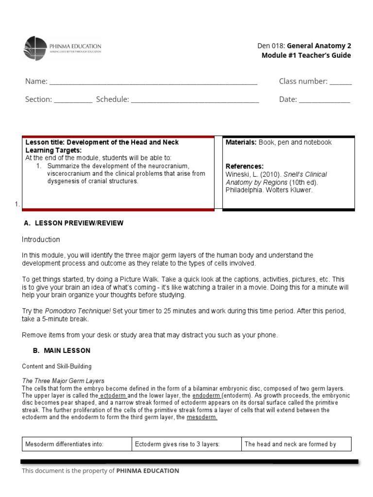 Development of Head and Neck | PDF | Anatomy | Morphology (Biology)