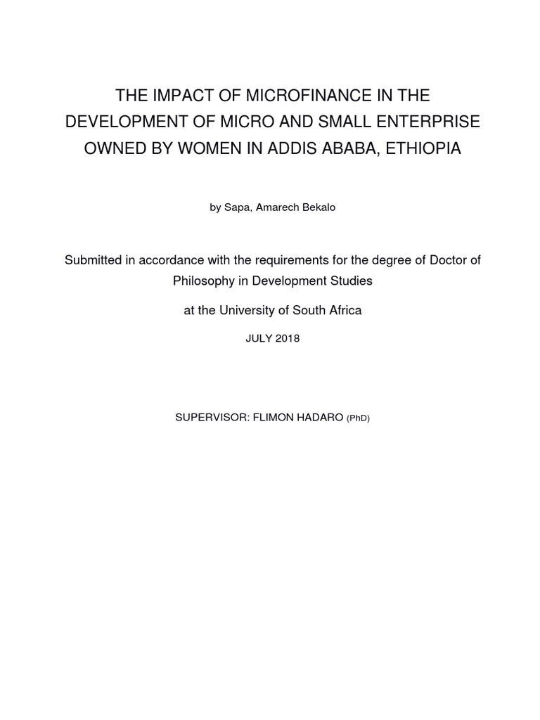 Empowering Women Entrepreneurs | PDF | Microfinance | Data Analysis