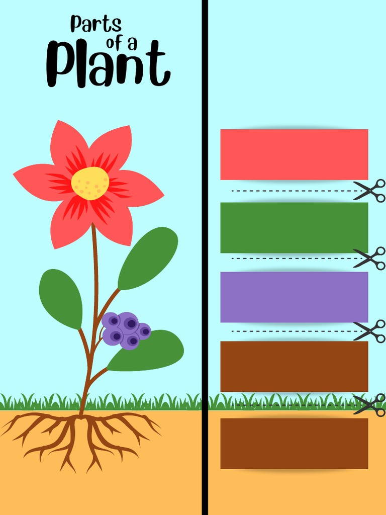Plant Parts Puzzle for Kids | PDF