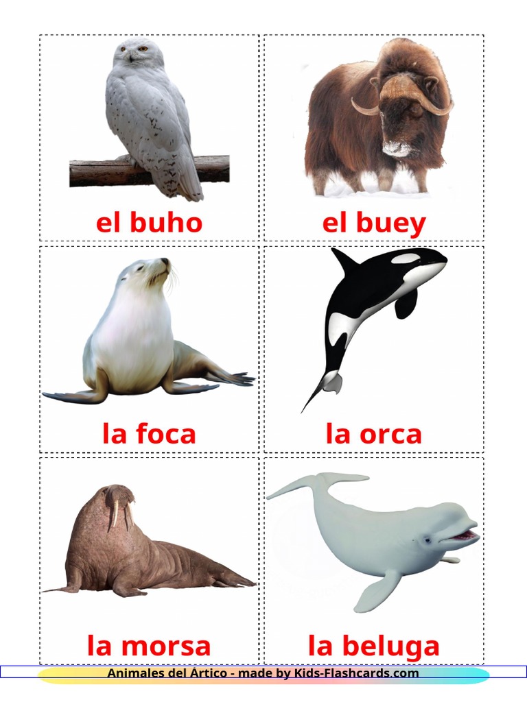 Animales Del Ártico 6 A4 | PDF