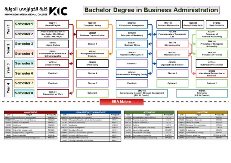 Study Plan Bba | PDF | Accounting | Economies