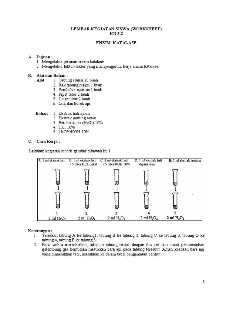 LKS Enzim Katalase Kosongan | PDF