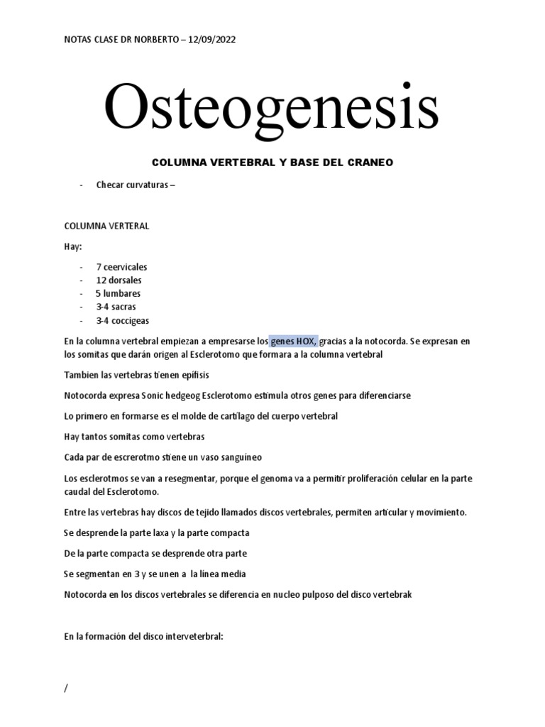 Osteogenesis | Descargar gratis PDF | Vértebra | Anatomía