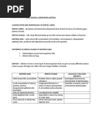 What Is The Difference Between Materia Alba and Plaque - Compare The ...