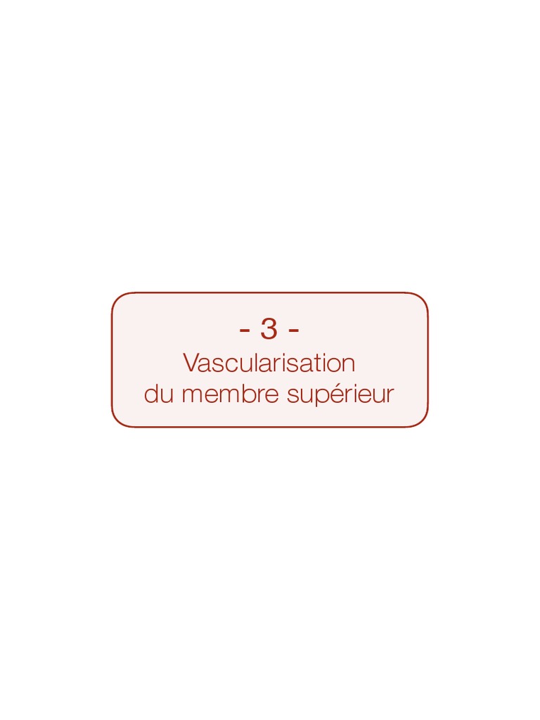 Vascularisation Du Membre Supérieur | PDF | Anatomie | Anatomie humaine