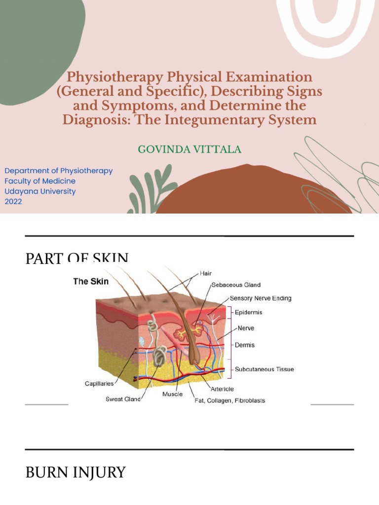 (Lecture 5) Integumentary System | PDF | Burn | Skin