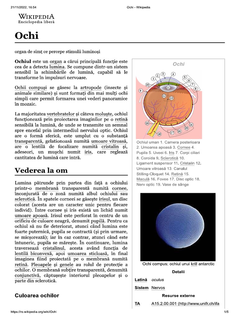 Ochiul | PDF