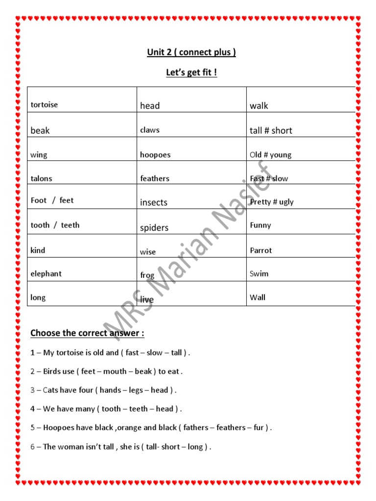Exercise Unit 2 Connect Plus 2 | PDF | Claw | Beak