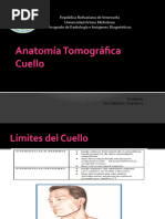 Clasificacion de Bedi | PDF | Ultrasonido médico | Especialidades Medicas