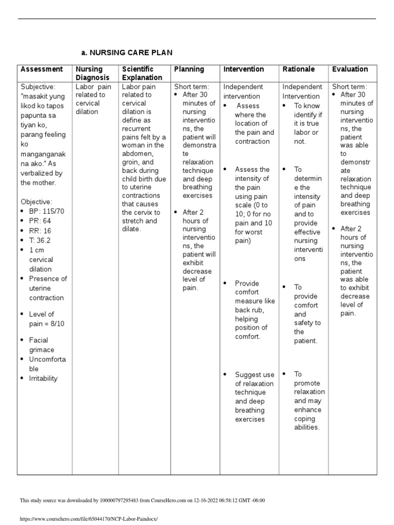NCP Labor Pain | PDF | Childbirth | Pain