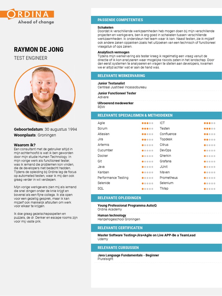 CV Raymon de Jong | PDF