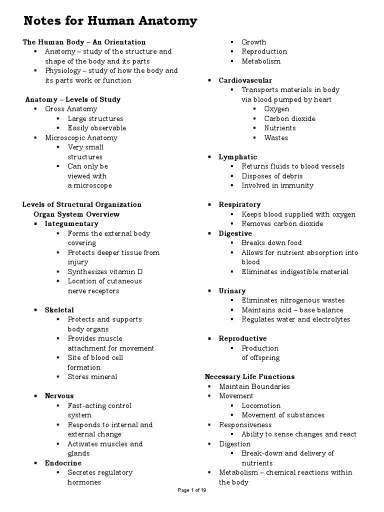 Unit 1 ANAPHY Printable Notes | PDF | Epithelium | Skin