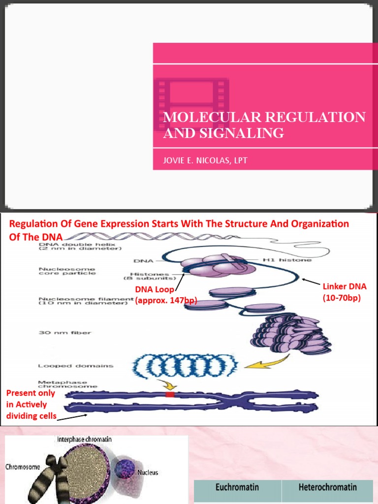 Molecular Regulation and Signaling | PDF | Cell Signaling | Rna Splicing